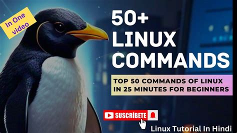 The 50 Most Popular Linux And Terminal Commands Full Course For