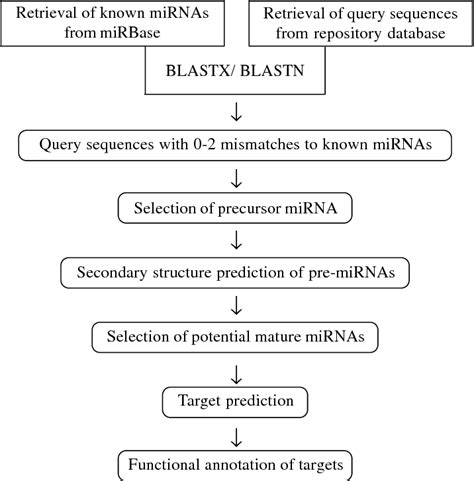 Figure 1 From A Guide To In Silico Identification Of Mirnas And Their