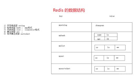Redis集合类型set 知乎