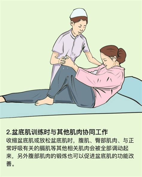 盆底肌锻炼图片 盆底肌图片 第8页 大山谷图库