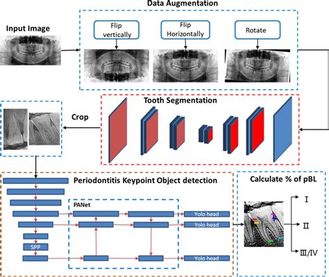 Workflow Of The Model Training Download Scientific Diagram