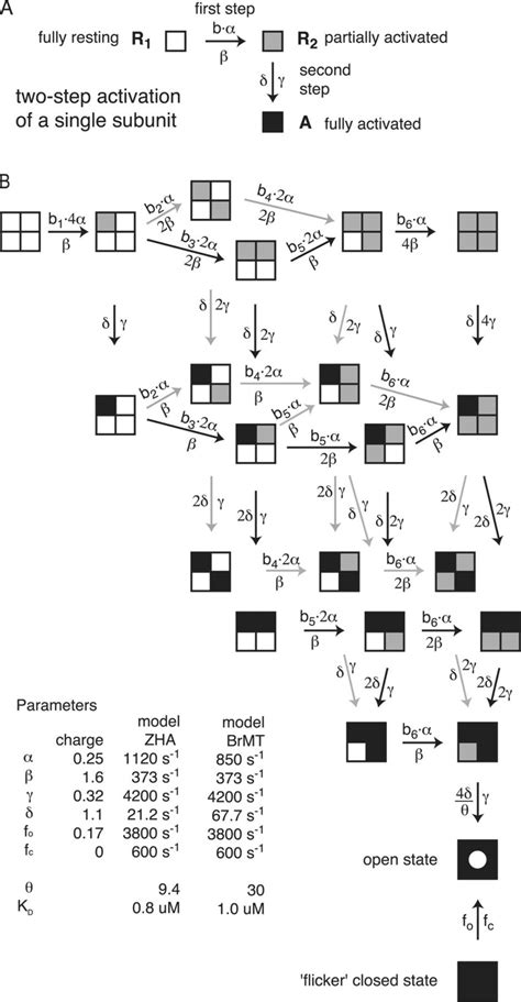 Model Of Negative Cooperative Inhibition Of ShbΔ Activation A Download Scientific Diagram