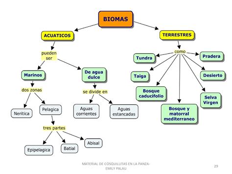 Los Ecosistemas Mapa Conceptual Del Ecosistema Images