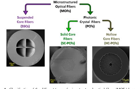 Figure 1 From Optical Fiber Sensors Based On Microstructured Optical Fibers To Detect Gases And