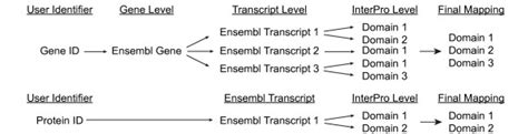 Identifier Mapping Procedure Gene Related Identifiers Eg Gene