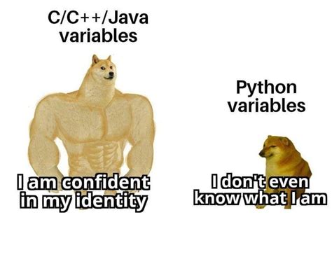 Python Variable Vs Other Variables 😂 Global Success Media
