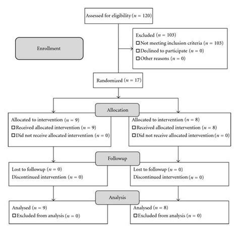 Randomization And Allocation Of Subjects And Experimental Protocol