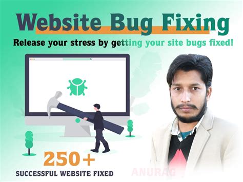 Bug Fixes For Your WordPress Site Upwork