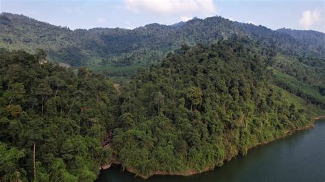 Aerial View Of The Lush Dense Forests Of The Annamite Range In Vietnam