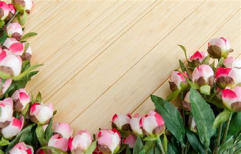 Фон цветы с днем рождения 64 фото