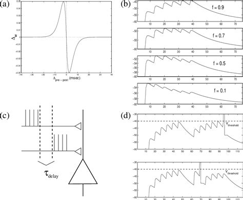 Figure 1 From Report 02 0703 Temporal Sequence Learning With Dynamic Synapses Semantic Scholar
