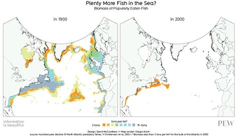 The ‘what And ‘why Of Msc Certified Fish I Know What I Consume