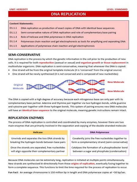 5 1 dna replication pdf dna gel electrophoresis