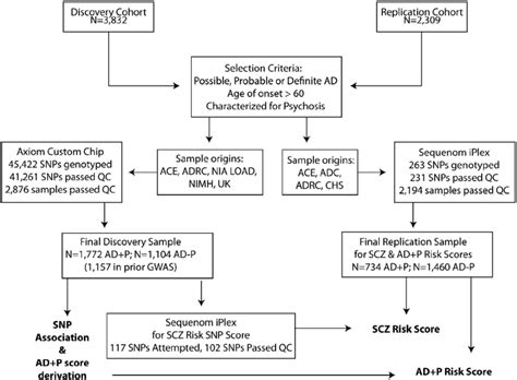 Diagram of the study design and workflow ACE Fundació ACE Barcelona Download Scientific