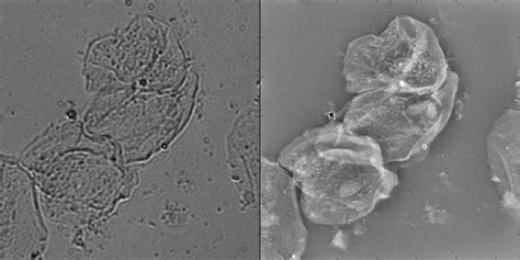 Open Source Software Quantitative Computational Imaging Lab