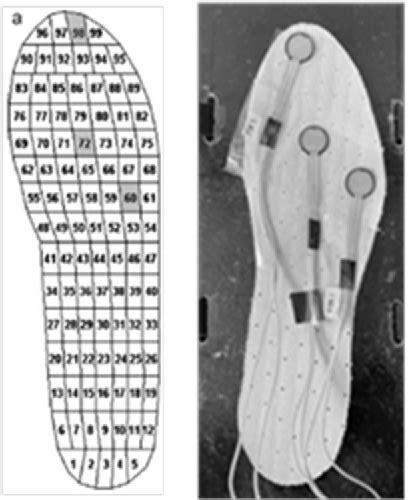 Figure 3 From Classification Of Sprain And Non Sprain Motion Using Deep
