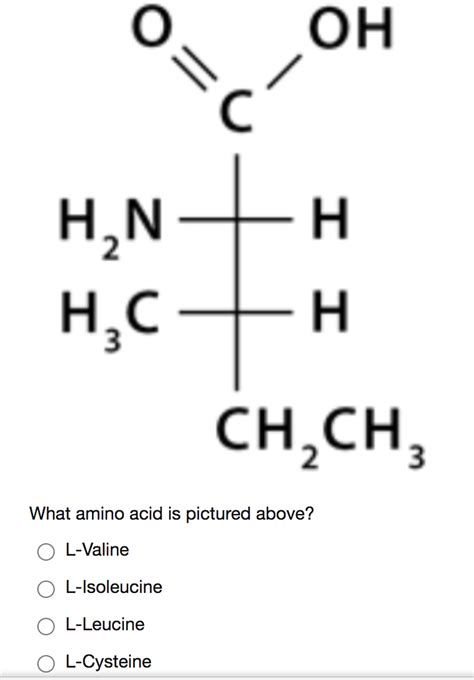 Solved 0 Il H2n Ch C Nh Ch C ī Ch сн Ch3 1 Ch2 Oc Nh2 H3c