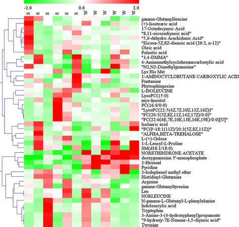 Hierarchical Clustering Analysis For The Sdms Of Lc Ms The Relative