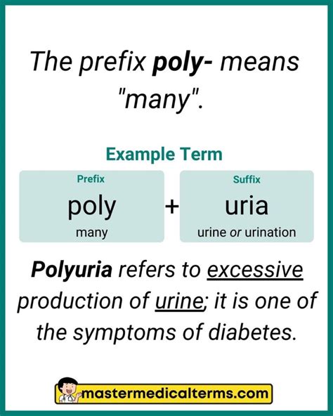 Poly Master Medical Terms