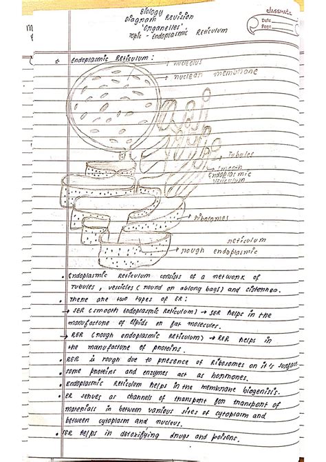 Solution Class 9 Biology Organelles Diagram Notes Studypool Solution Class 9 Biology Organelles Diagram Notes Studypool