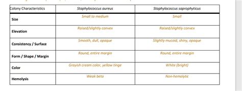 Solved Colony Characteristics Staphylococcus Aureus Staphylococcus Saprophyticus Small To