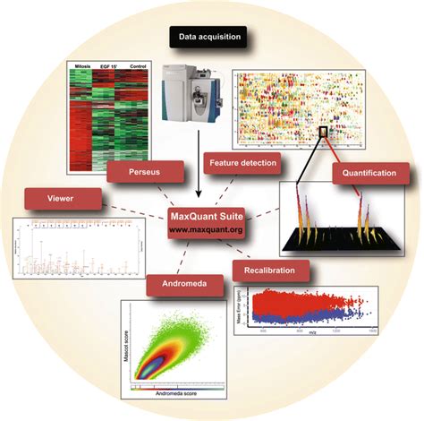 Maxquant For In Depth Analysis Of Large Silac Datasets Springerlink