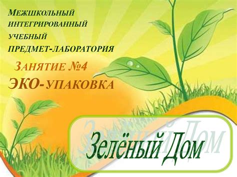 Эко-упаковка - презентация онлайн