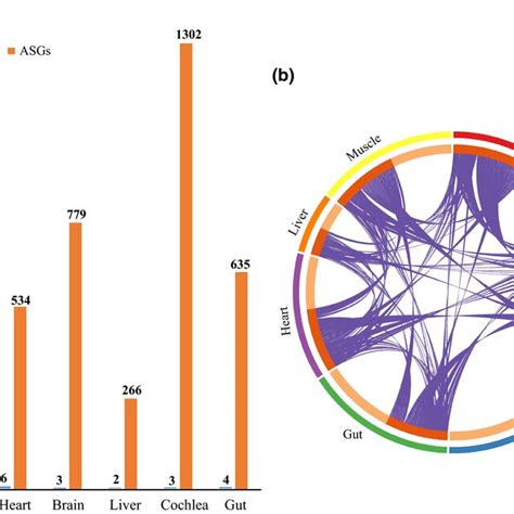 Differential Expression And Alternative Splicing Analysis Between
