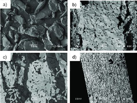 Sem Micrographs Of A Chitosan Granules Cross Section Views Of B Ceo2