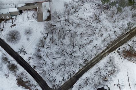 Non Nadir View Of Trees In Orthophoto With Snow Webodm Opendronemap Community