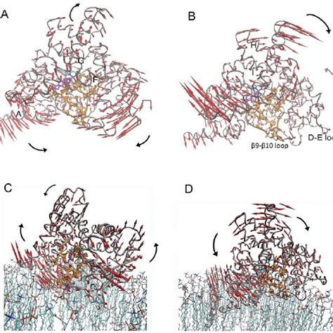Intramolecular Modes Of Motion Of A Membrane Free Monomer And A Download Scientific Diagram
