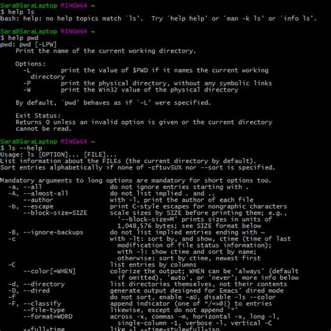 Benefits Of GitBash Sara Hollett