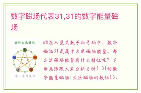 数字磁场代表31 31的数字能量磁场 乔一数字能量