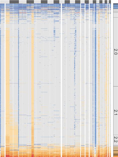 GitHub StefanKurtenbach ScCNV Heatmap Generates Meaninful Heatmaps From X Single Cell CNV Data