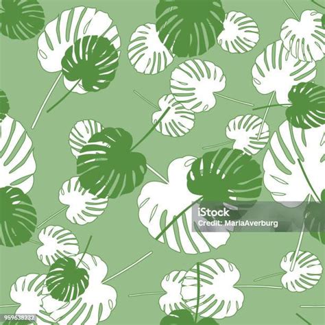 팜 리프 완벽 한 패턴입니다 벡터 일러스트입니다 장식 요소 0명에 대한 스톡 벡터 아트 및 기타 이미지 0명 고사리 나무 Istock