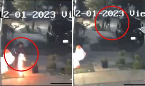 Ya No Hay Respeto Grinch Roba Adornos De Navidad De Casa En Ciudad Victoria Noticias En La