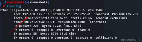 Kali Linux渗透测试演示——dns欺骗