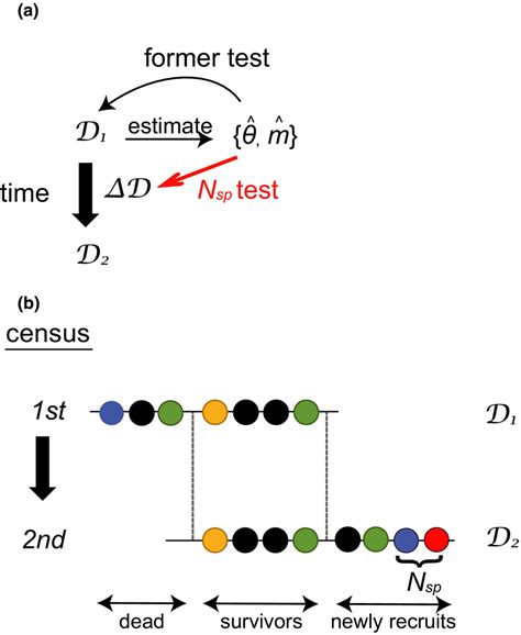 A Commonly Used Sad‐based Neutrality Tests Are Based On A Single Download Scientific Diagram