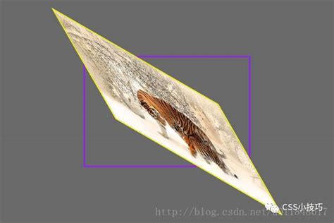 transform 属性之简单变换方法 transform改变高度 csdn博客