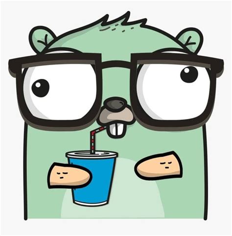 the golang design errors r programminglanguages