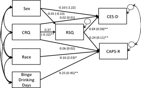 Standardized And Unstandardized Path Estimates For Mediation Model