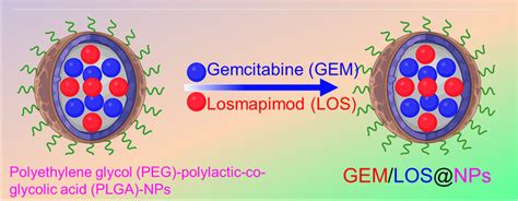 Schematic Demonstration Of The Fabrication Of Gemcitabine Gem And