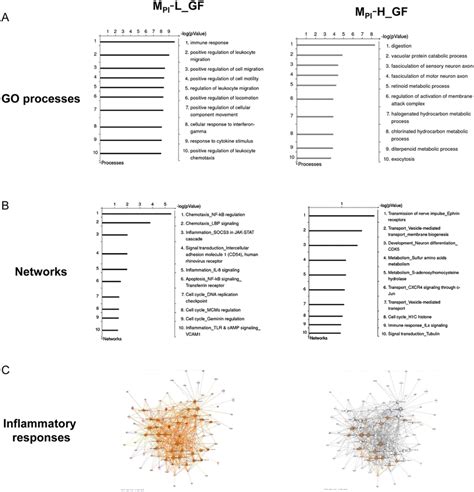 Metacore Gene Enrichment Analysis Of Ileum Microarray Data Representing