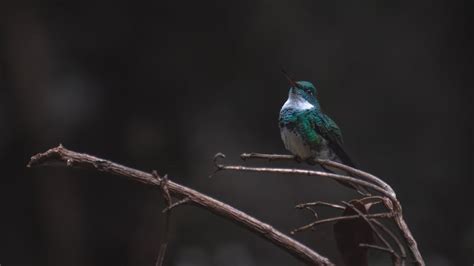 Observation Vs Interpretation Full Comparison Guide Calculators And Differences