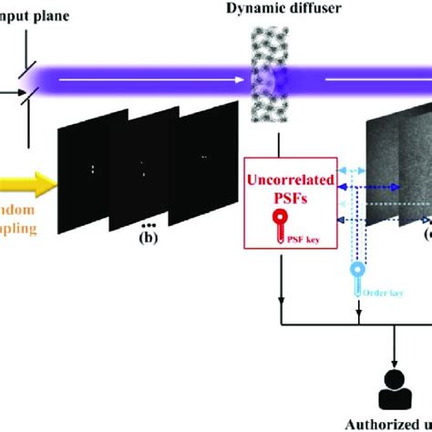 schematic diagram of the optical encryption setup download