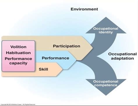 Occp1103 The Model Of Human Occupation And The Canadian Model Of Op