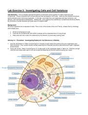 Exploring Cell Structures & Functions: Lab Exercise 3 | Course Hero