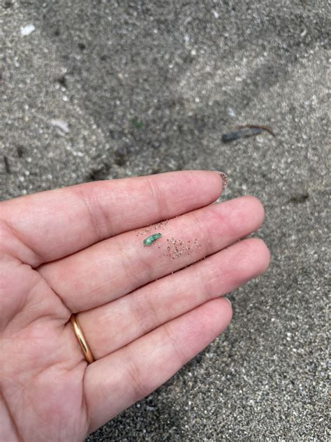 Csr|tinyteeth|一般社団法人日本歯固め玩具協会 Csr|tinyteeth|一般社団法人日本歯固め玩具協会