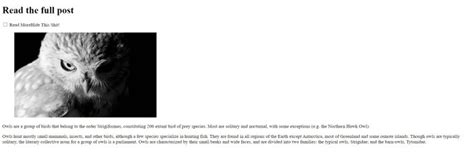 Create A Read More Button Using HTML And CSS Only