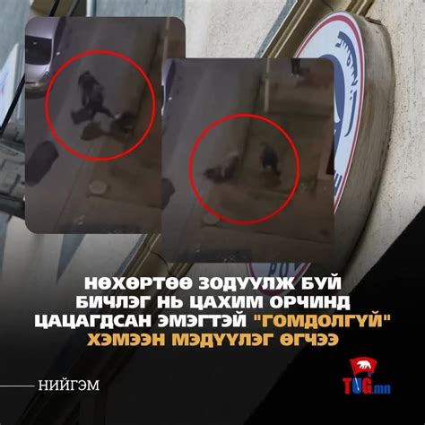 Одонтой Хүчирхийллийн гинжин холбоо ийм үед хэзээ ч тасрахгүй Айдсаар нь хүнийг удирдаж